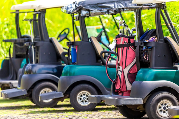 Golf Cart Insurance | Swamp Fox Agency